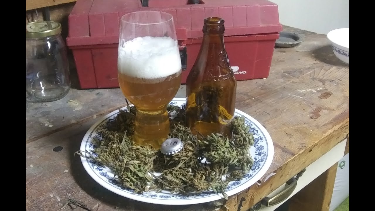 Hemp Ale Experiment Using a "Bud" Stand. - YouTube