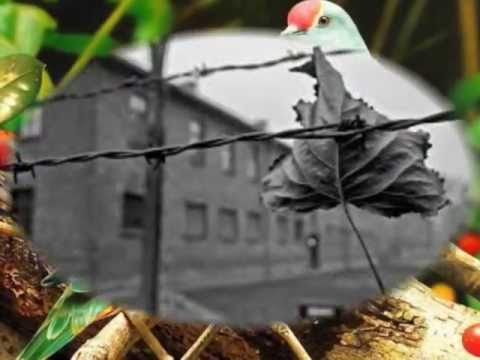 Zülfü Livaneli - Gökte Uçan Huma Kuşu