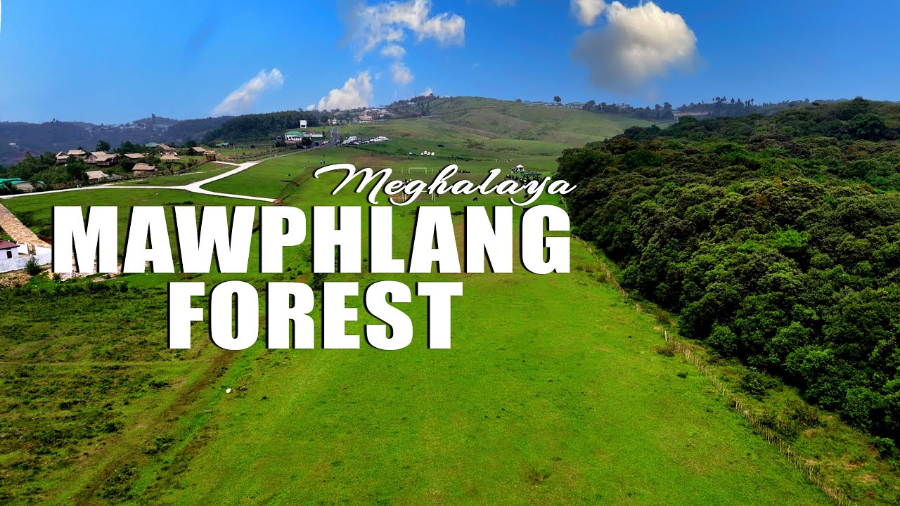 Mawphlang-Meghalaya: Thick Groves and Mystical Forests - YouTube