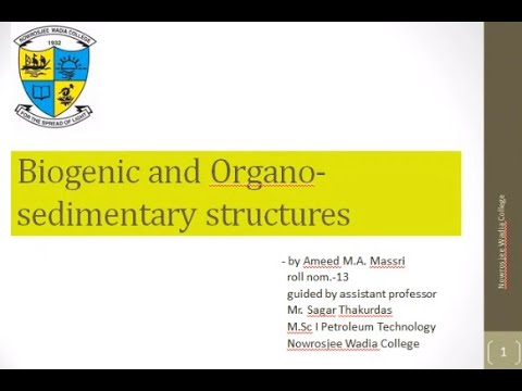 Biogenic and Organo Sedimentary Structures by Amid M.A. Massri - YouTube