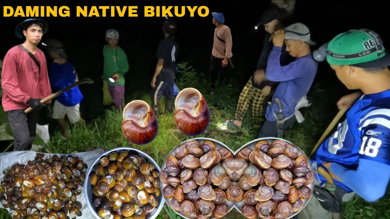 SINUYOD NAMING ANG GUBAT DAMING BIKUYO ANG NAHUKA NAMIN - YouTube