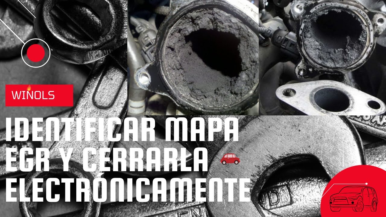 Anular EGR Winols | How to delete EGR Winols #1 - YouTube