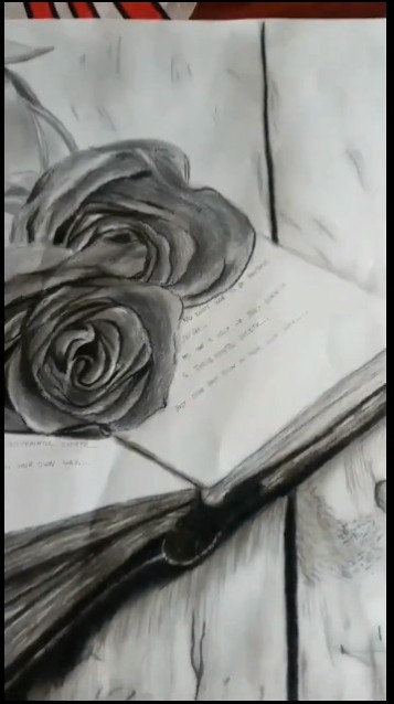 sketch drawing of Roses between book 🥰😍🥀#viralshort #art #shortvideo # ...
