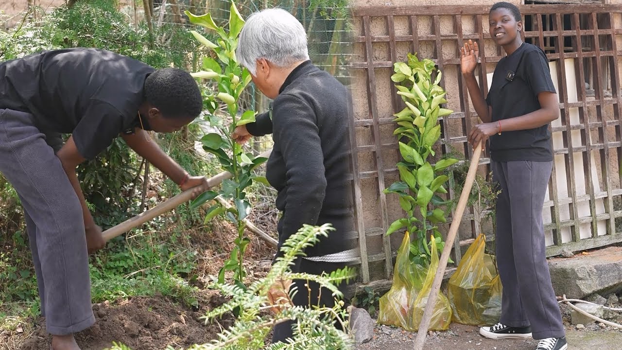 Planting some trees for the kids today! I hope they'll grasp the idea ...