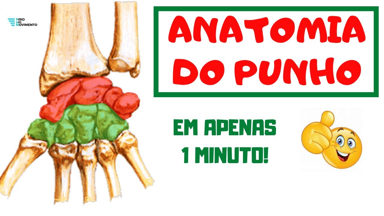 ANATOMIA DO PUNHO - MINUTO DA ORTO | FISIO EM MOVIMENTO - YouTube