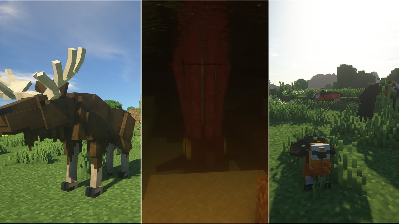30+ New Animals Showcase (Mod Showcase | Better Animals Plus 1.16.5 ...