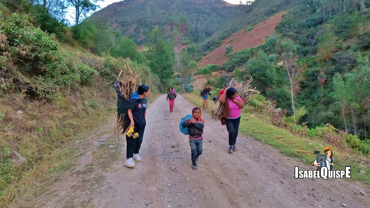 Fuimos al Monte a recoger la Leña | Isabel Quispe - YouTube