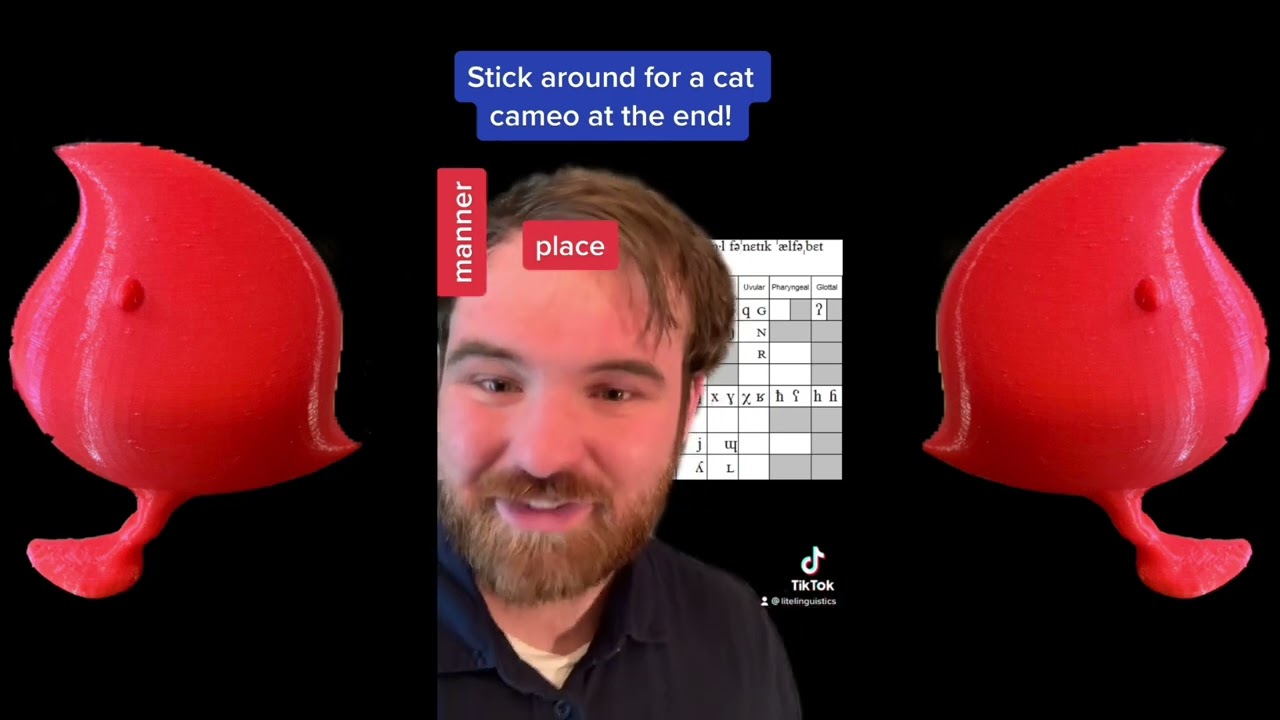 Learn The International Phonetic Alphabet compilation YouTube learn-the-international-phonetic-alphabet-compilation-youtube