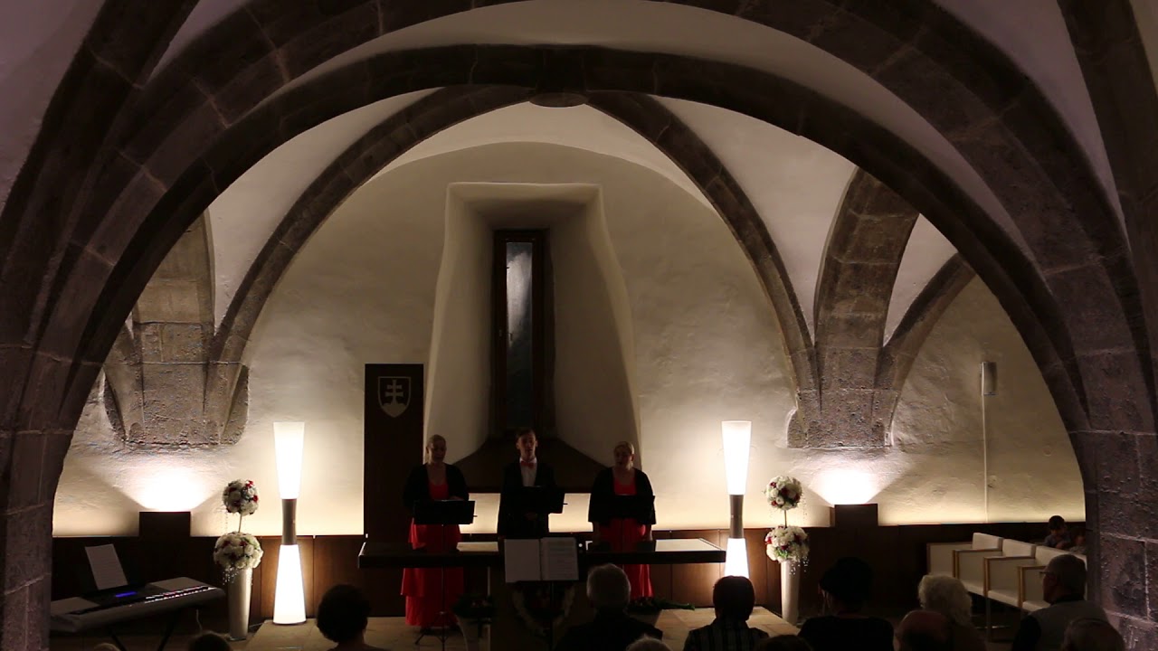 Trio Sanguinis: CUM DECORE - Tylman Susato - YouTube