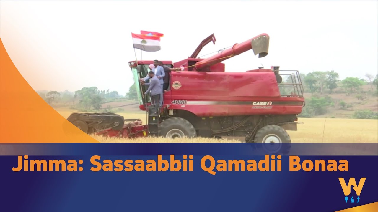Jimma: Sassaabbii Qamadii Bonaa - YouTube