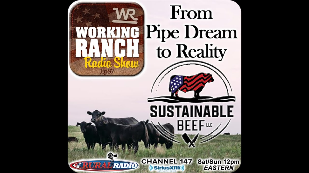 Ep 97: Sustainable Beef LLC… from Pipe Dream to Reality - YouTube