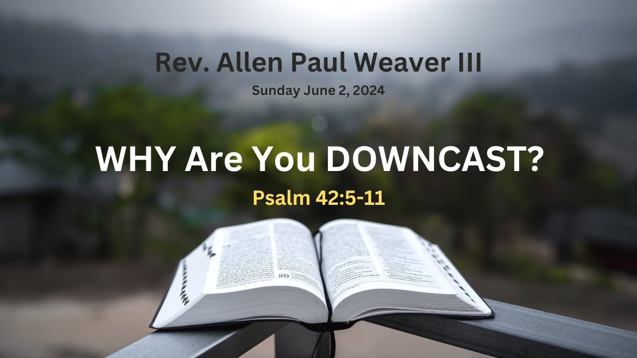 “Why Are You Downcast?“ - YouTube