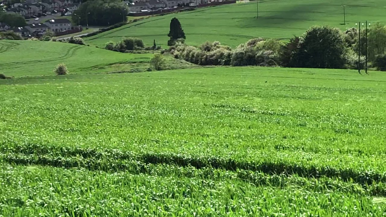 Kx 250 lifting through field - YouTube