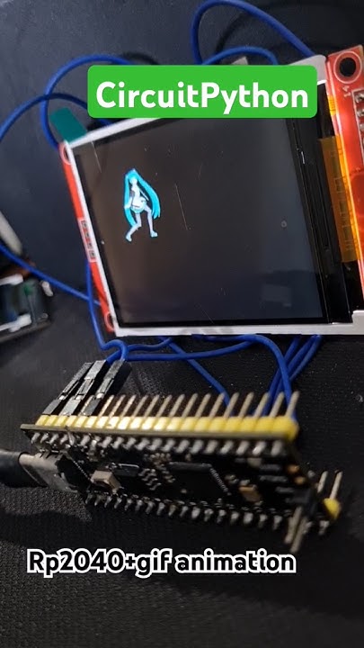 CircuitPython : Gif Animation(RP2040) #trending - YouTube
