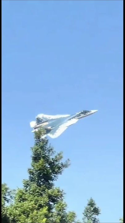 Sukhoi SU 57 in Action #shorts #russia #china - YouTube