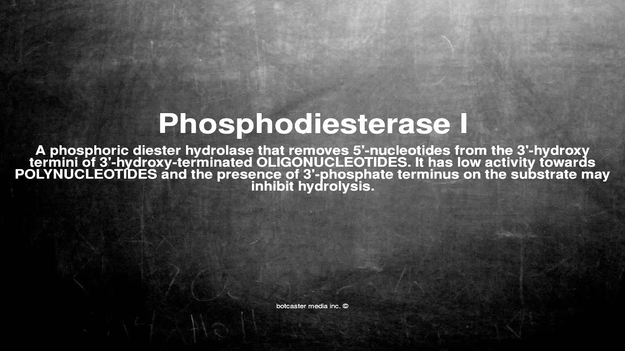Medical vocabulary: What does Phosphodiesterase I mean - YouTube
