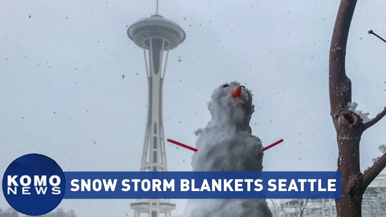 Funny Snow Storm Images