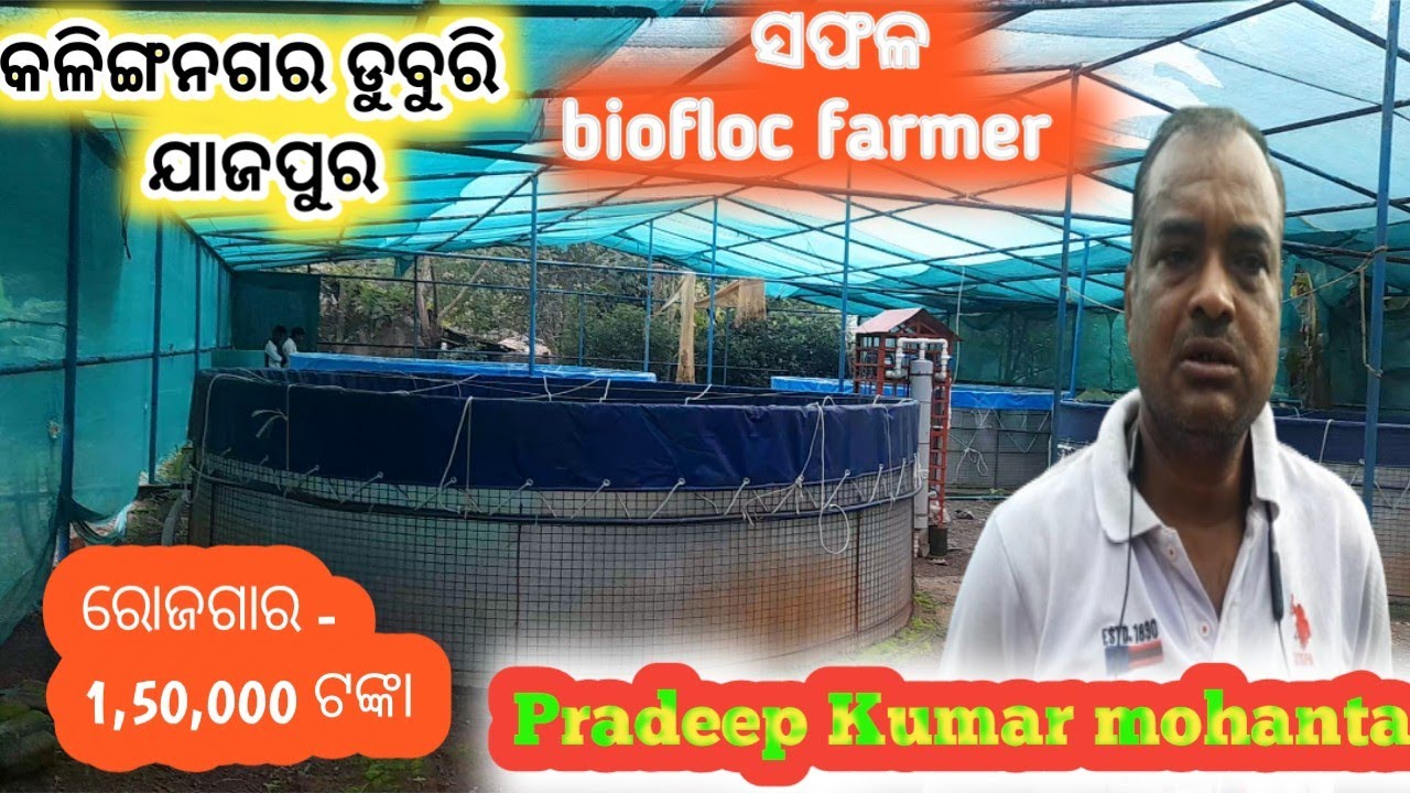 bioflock fish farming || biofloc fish farming odisha || biofloc fish ...