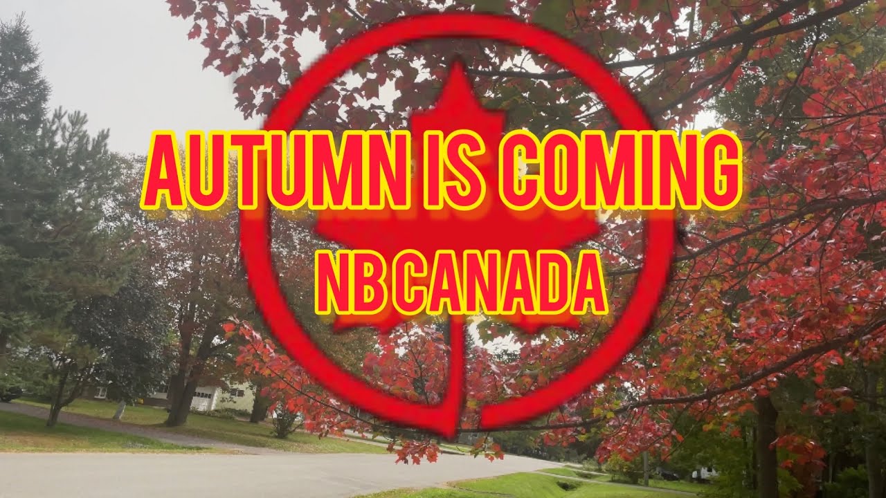 AUTUMN IS COMING VERY SOON - YouTube