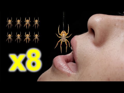 Do you swallow Spiders when you sleep? Fact of Myth with Ryan's World! (13 видео)