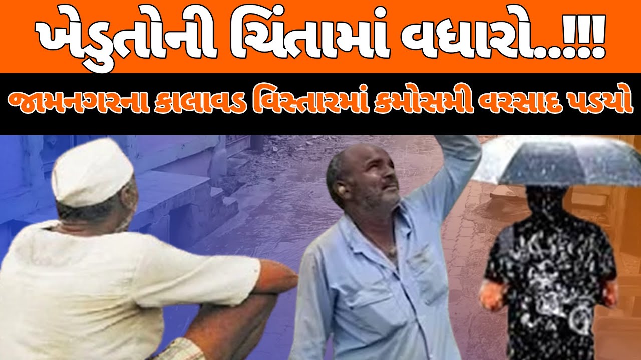 JAMNAGAR, કાલાવડ વિસ્તારમાં કમોસમી વરસાદ પડયો.. વરસાદના કારણે ખેડુતોની ...