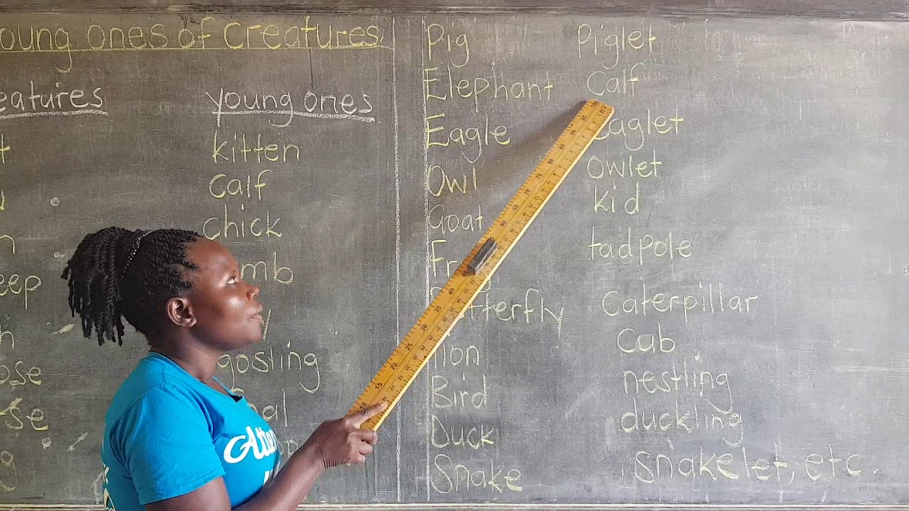 Lesson 2 english p4 - YouTube