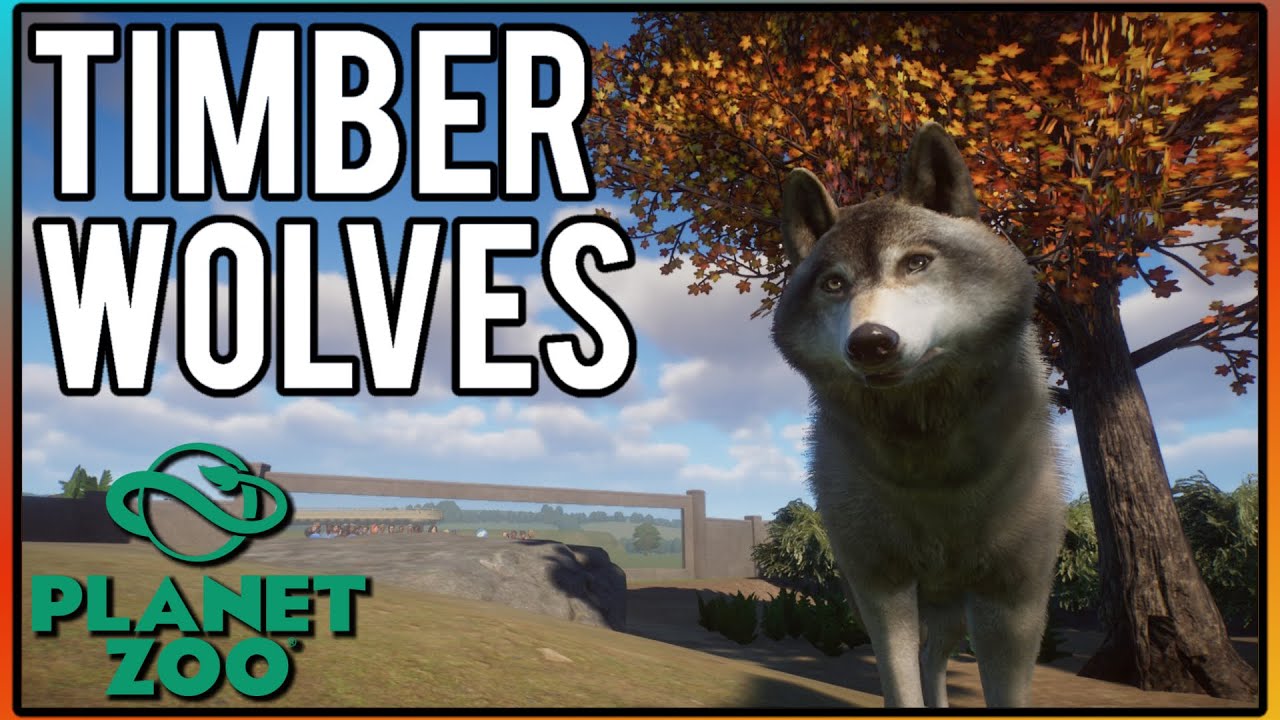 Constructing our Timber Wolves Habitat| Let's Play Planet Zoo Franchise ...
