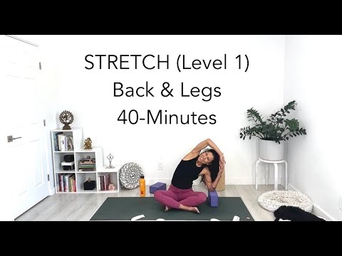 Stretch Legs & Back (Level 1) - 40 minute - YouTube