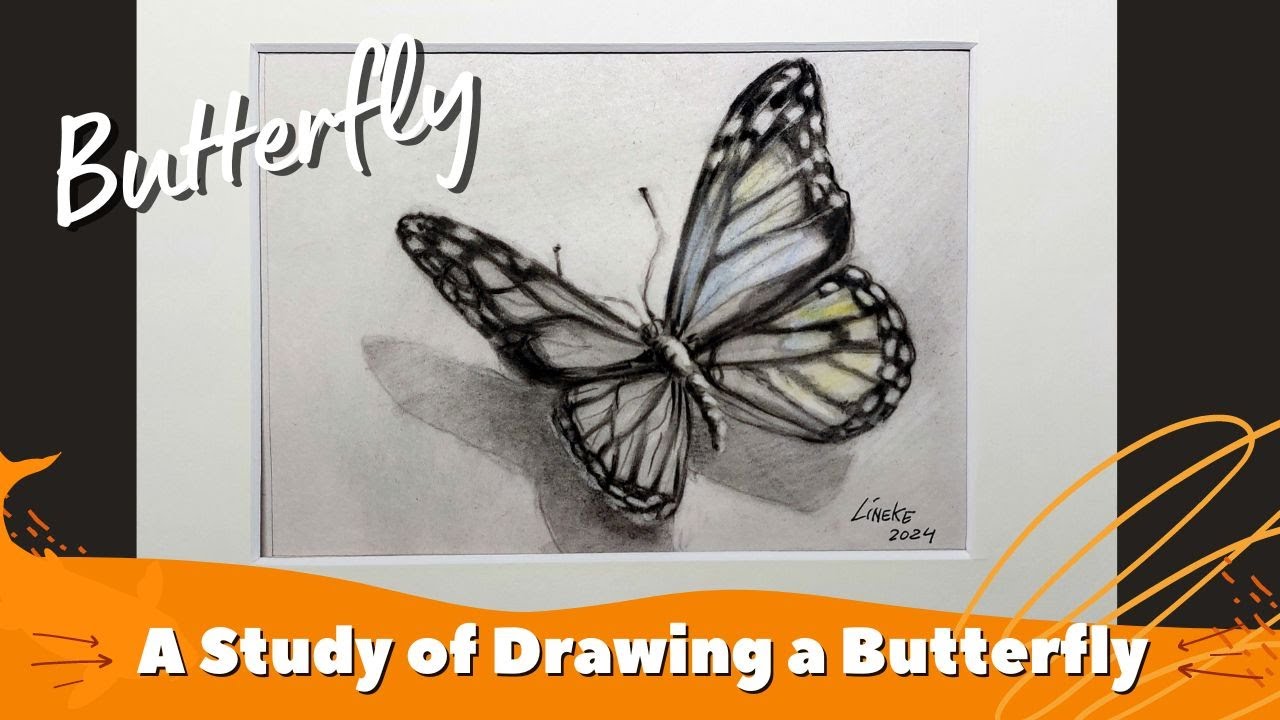How to draw a butterfly with charcoal pencil - YouTube
