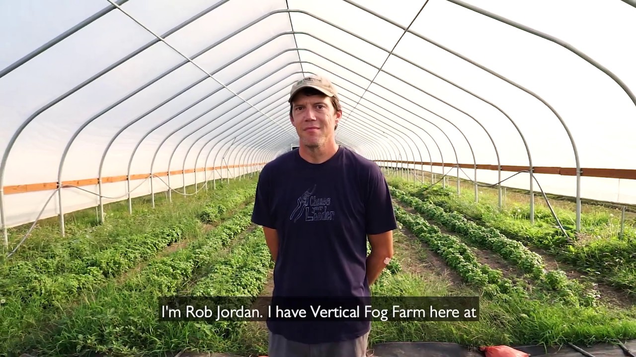 Vertical Fog Farm - YouTube