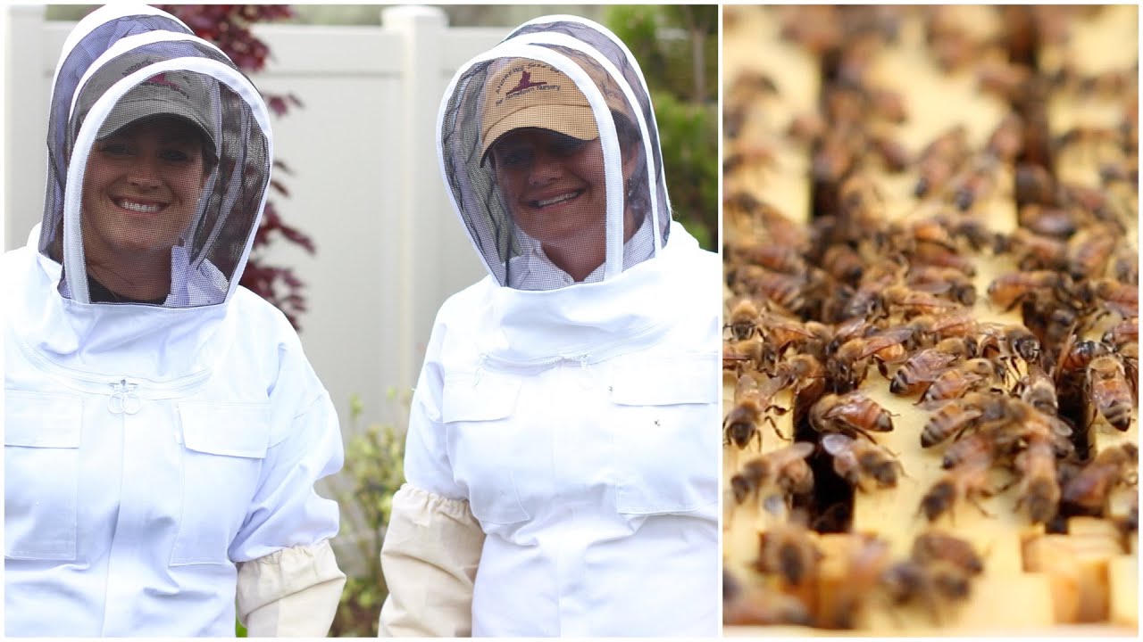 Backyard Beekeeping - YouTube