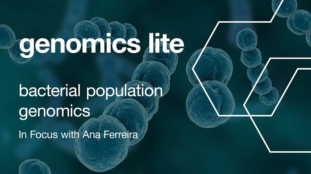 Genomics Lite: Bacterial Population Genomics - YouTube