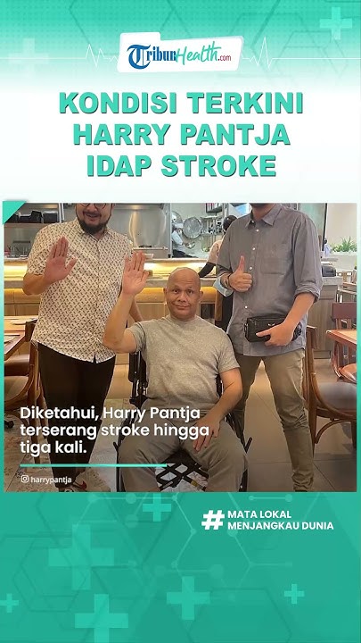 Lama Tak Terlihat, Begini Kondisi Terkini Harry Pantja, Duduk di Kursi Roda, Idap Stroke dan ...