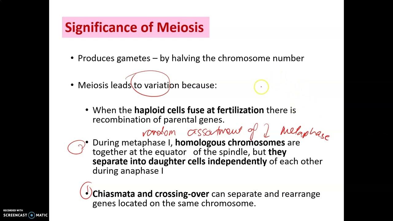 LECTURE CHAPTER 3 PART 10 - YouTube