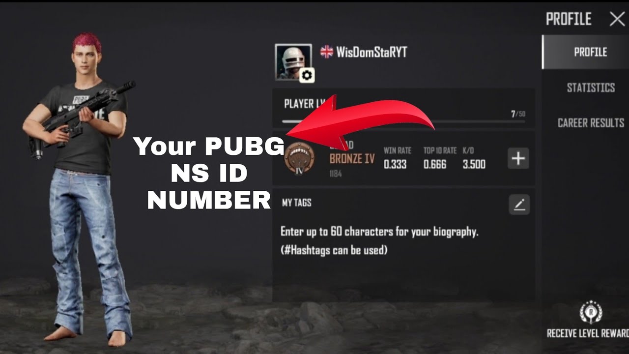 PUBG New State | How to Find Your PUBG New State Id Number ? Wisdom ...