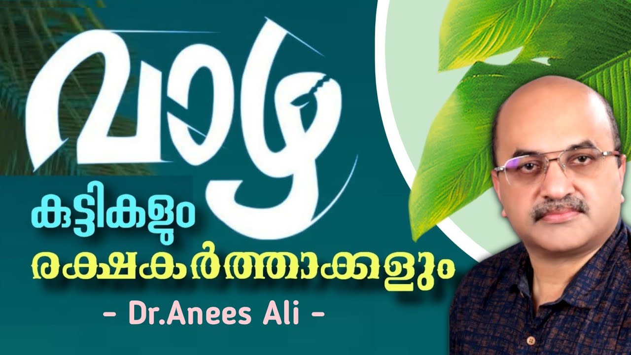 വാഴ | കുട്ടികളും രക്ഷകർത്താക്കളും | Relationship Between Parents and ...