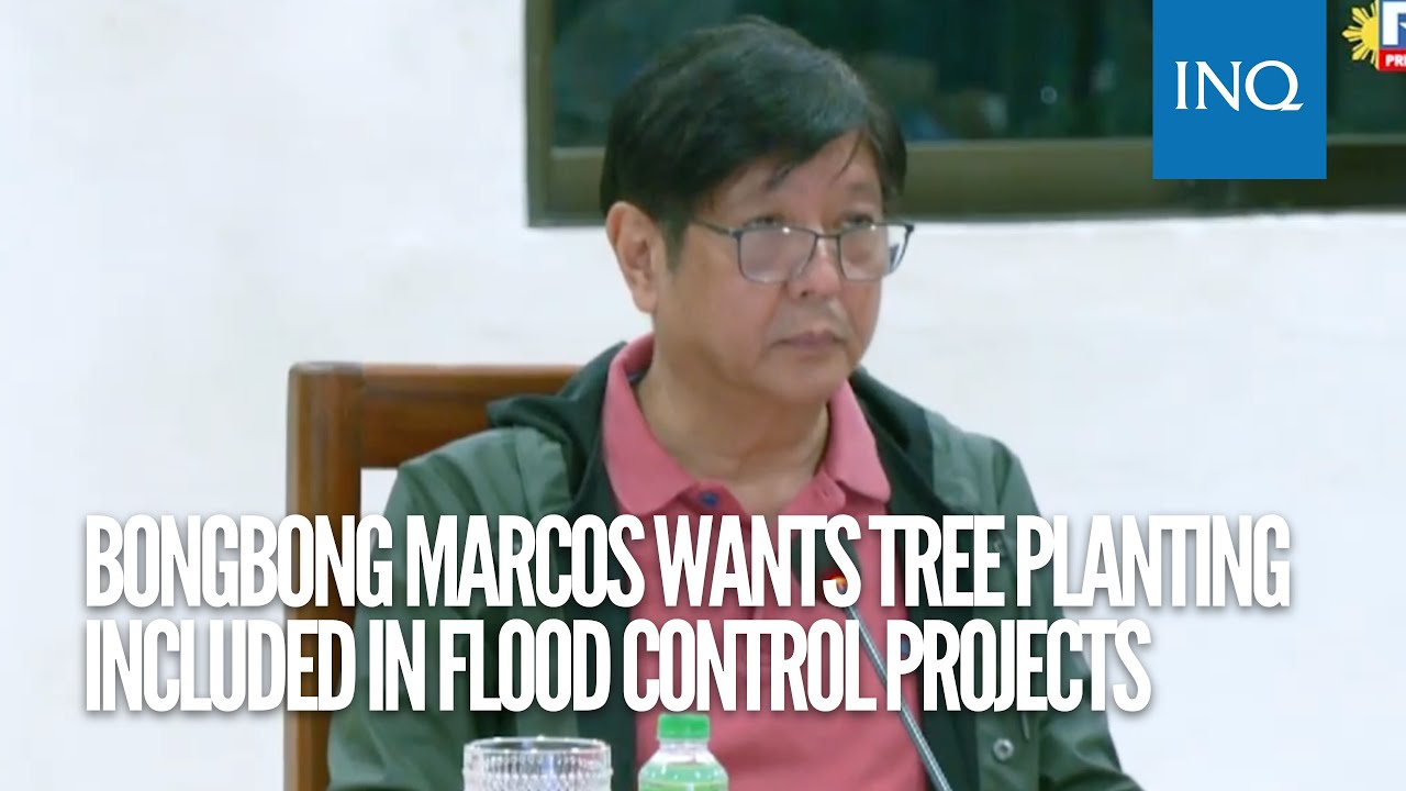 Bongbong Marcos wants tree planting included in flood control projects ...