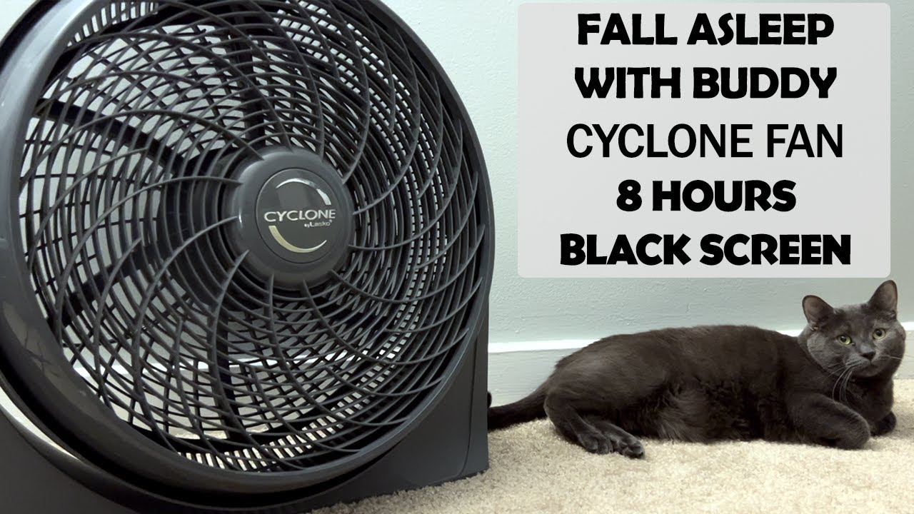 Cyclone Fan Level 2 with Cat Black Screen for Relaxation, Studying ...