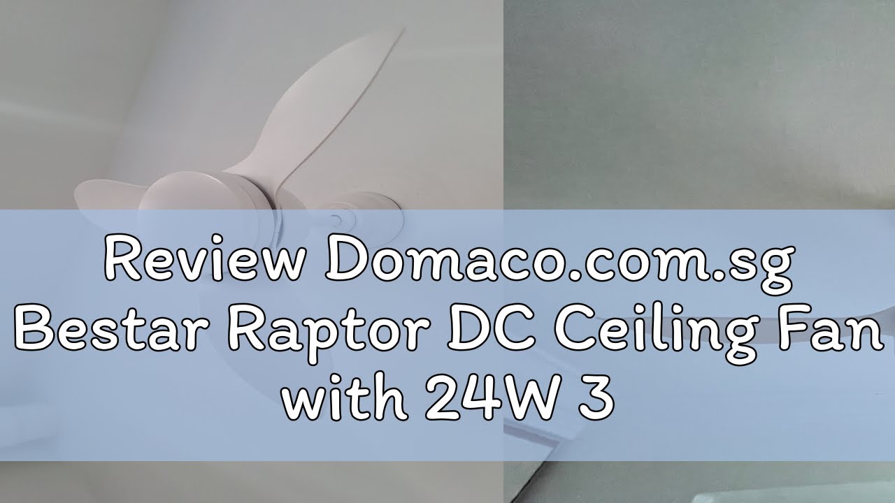 Review Domaco.com.sg Bestar Raptor DC Ceiling Fan with 24W 3 Tone LED ...