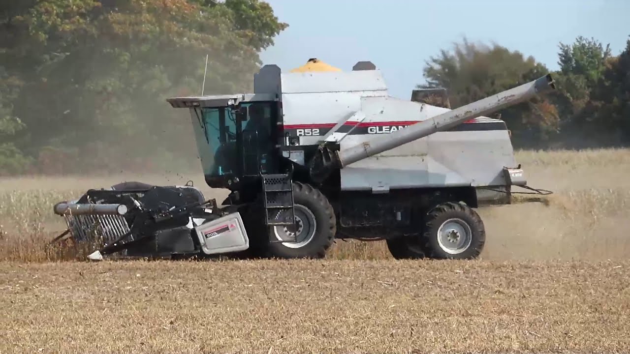 Harvest 2020 | Gleaner R52 Combine Harvesting Soybeans | Soybean ...