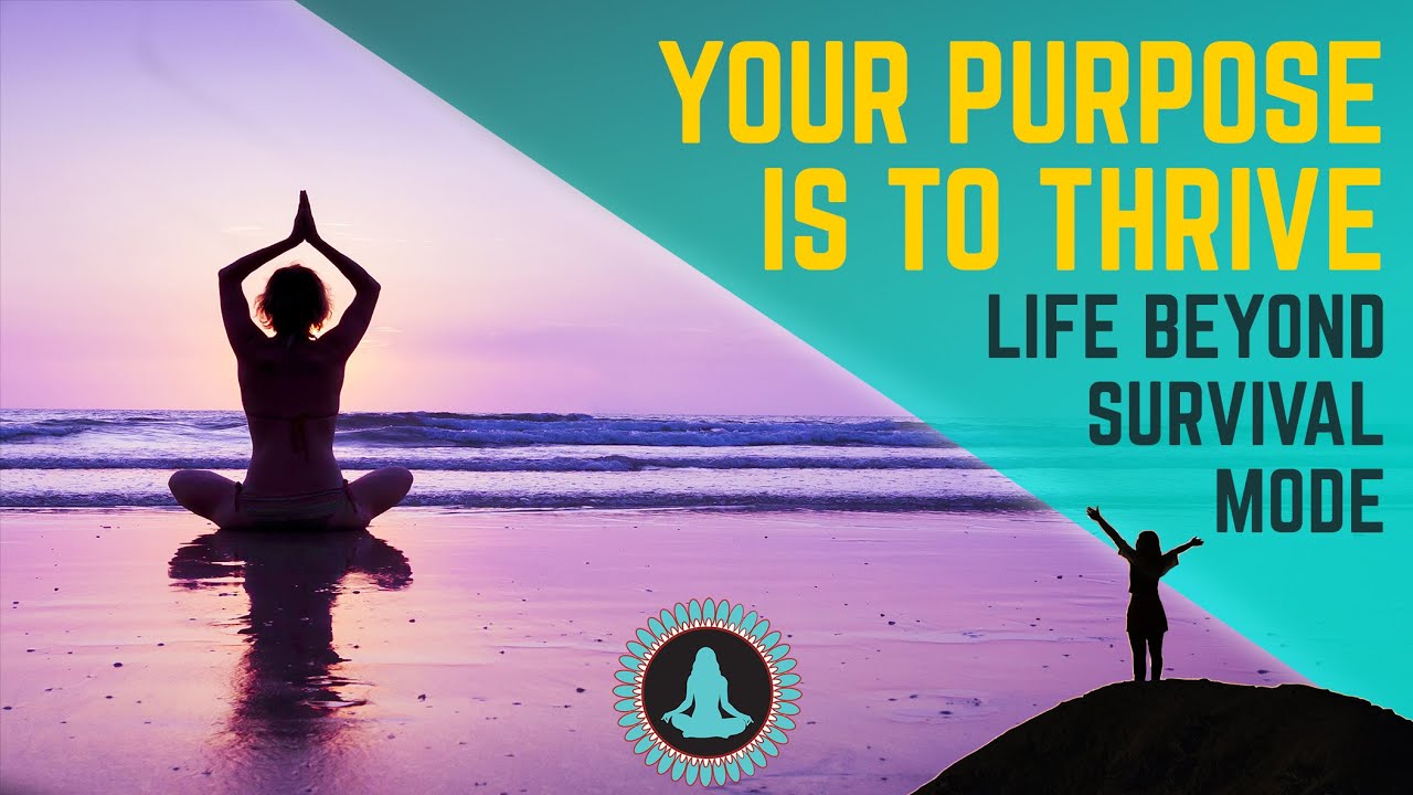 Learn How Paula is Choosing to THRIVE vs. Survive | Coaching ...