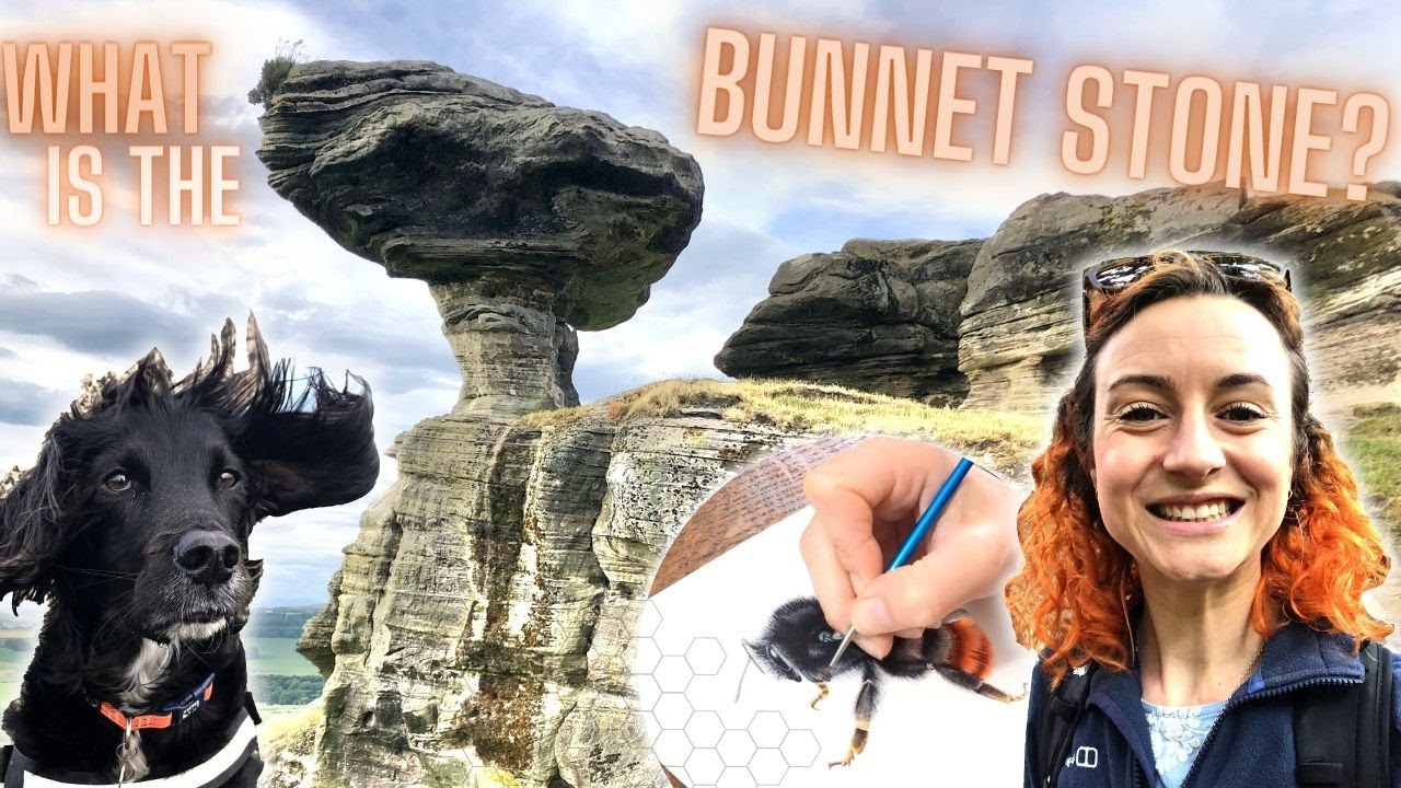 What is the MYSTERIOUS 'Bunnet Stone'?? - West Lomond + Painting a ...