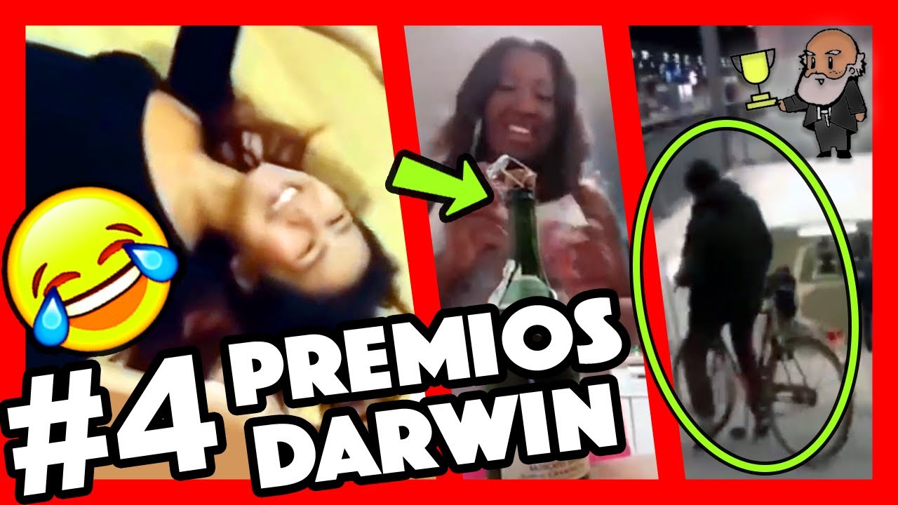 PREMIOS DARWIN 】😂 MENCIONES HONORABLES #4 | La cumbre de la estupidez ...