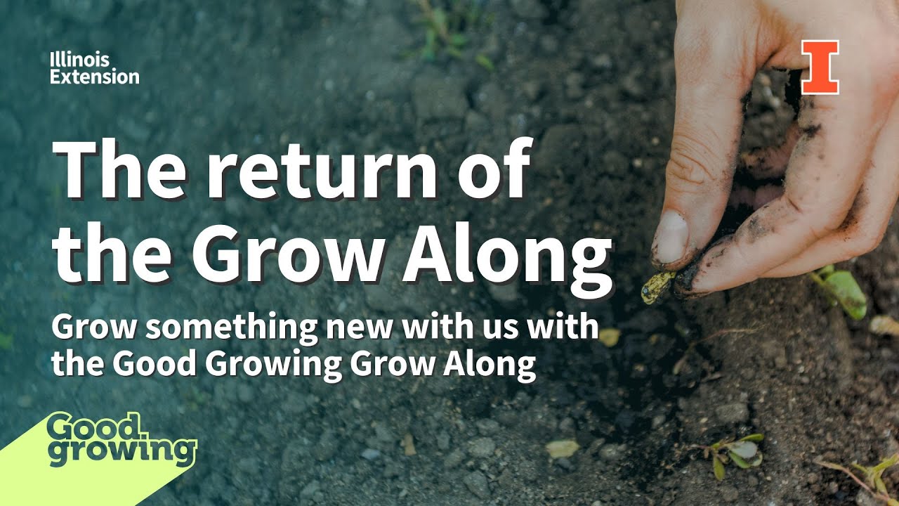 The return of the Grow Along | #GoodGrowing - YouTube