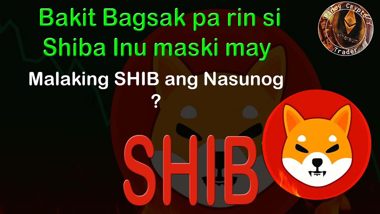 Bakit Bagsak pa rin si Shiba Inu maski may Malaking SHIB ang Nasunog ...
