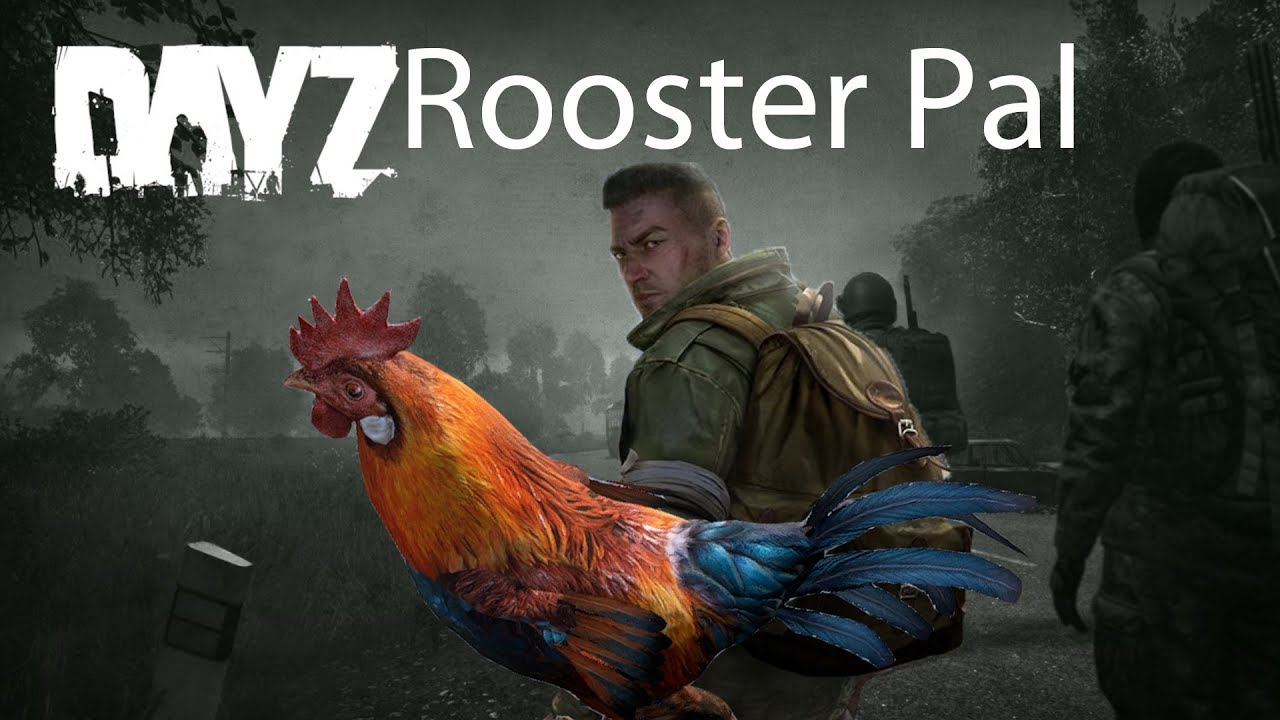 DayZ Xbox One Gameplay Rooster Pal, Crazy Bandits & Pumpkin Seeds - YouTube