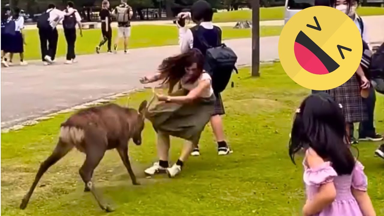 Funniest Fails Video Compilation Of The Week - Try Not to Laugh ...