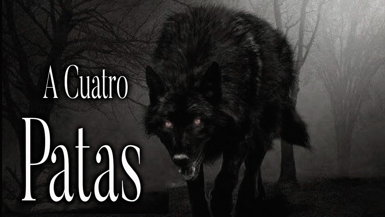 MI PERRO ES POSEÍDO POR ALGO MALIGNO. - YouTube