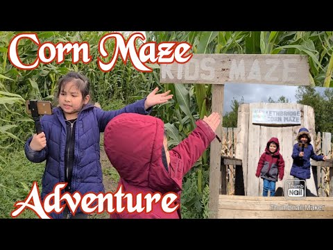 Corn Maze Adventure - YouTube