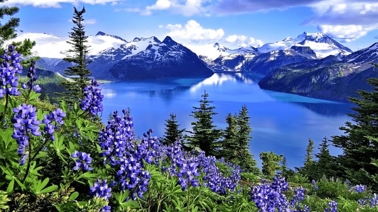 Прекрасна природа під музику без авторського права музика для ...